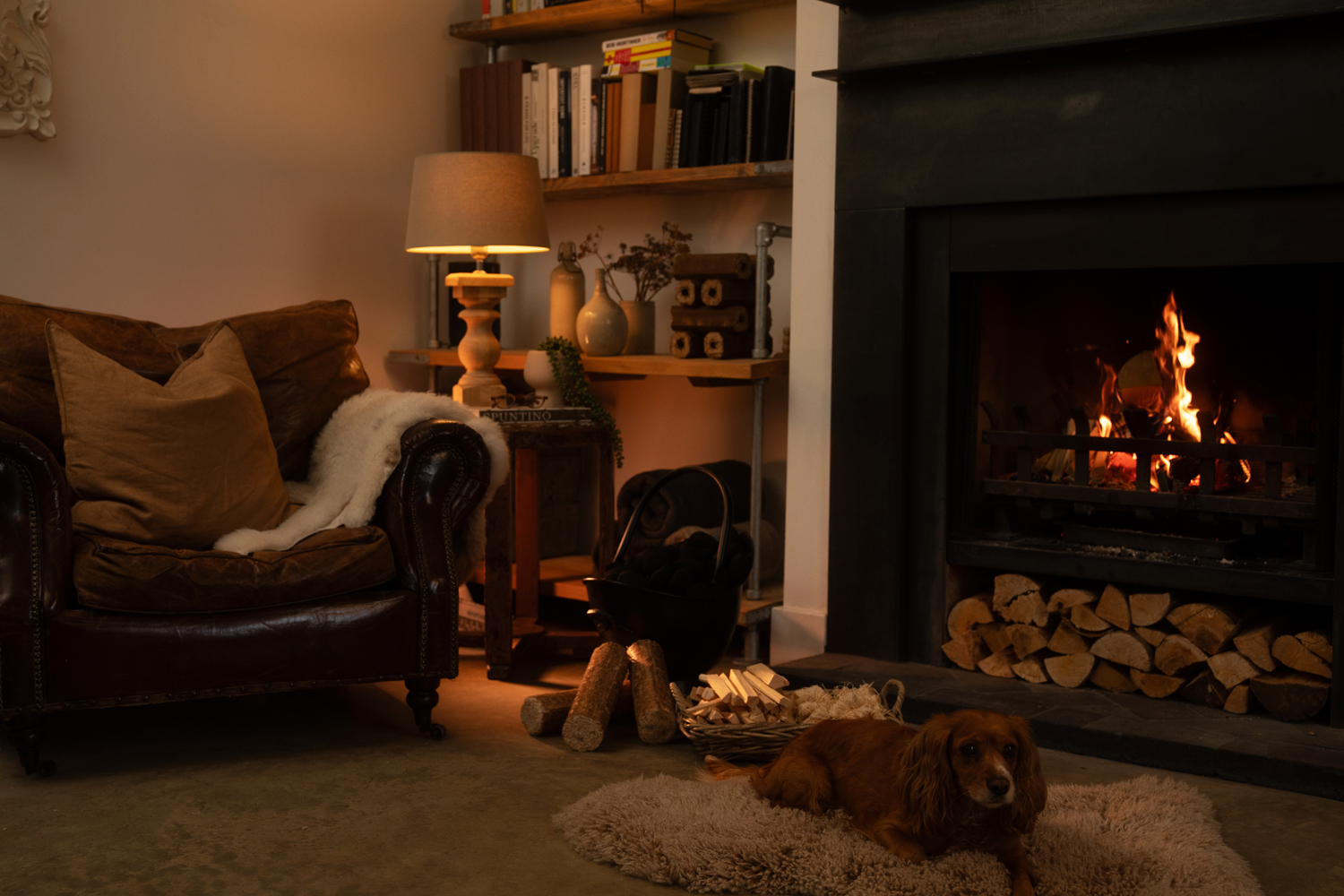 Shop by Appliance: Finding the Best Fuel for Your Fire | Homefire