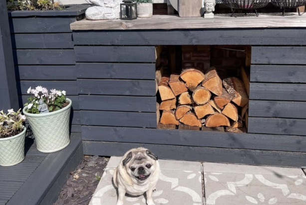 Mastering Log Storage: How to Build, Make, and Store Logs Safely and E ...