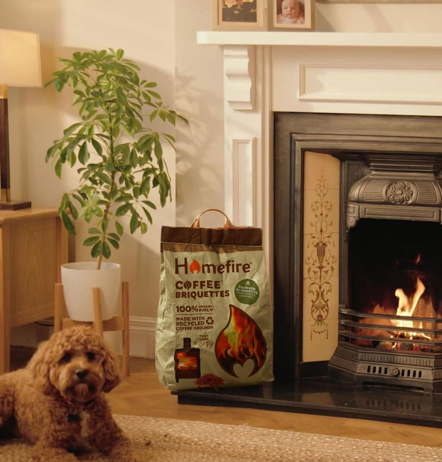 Homefire Coffee Bricks | For Wood Burners, Multi-fuel Stoves and Open Fires