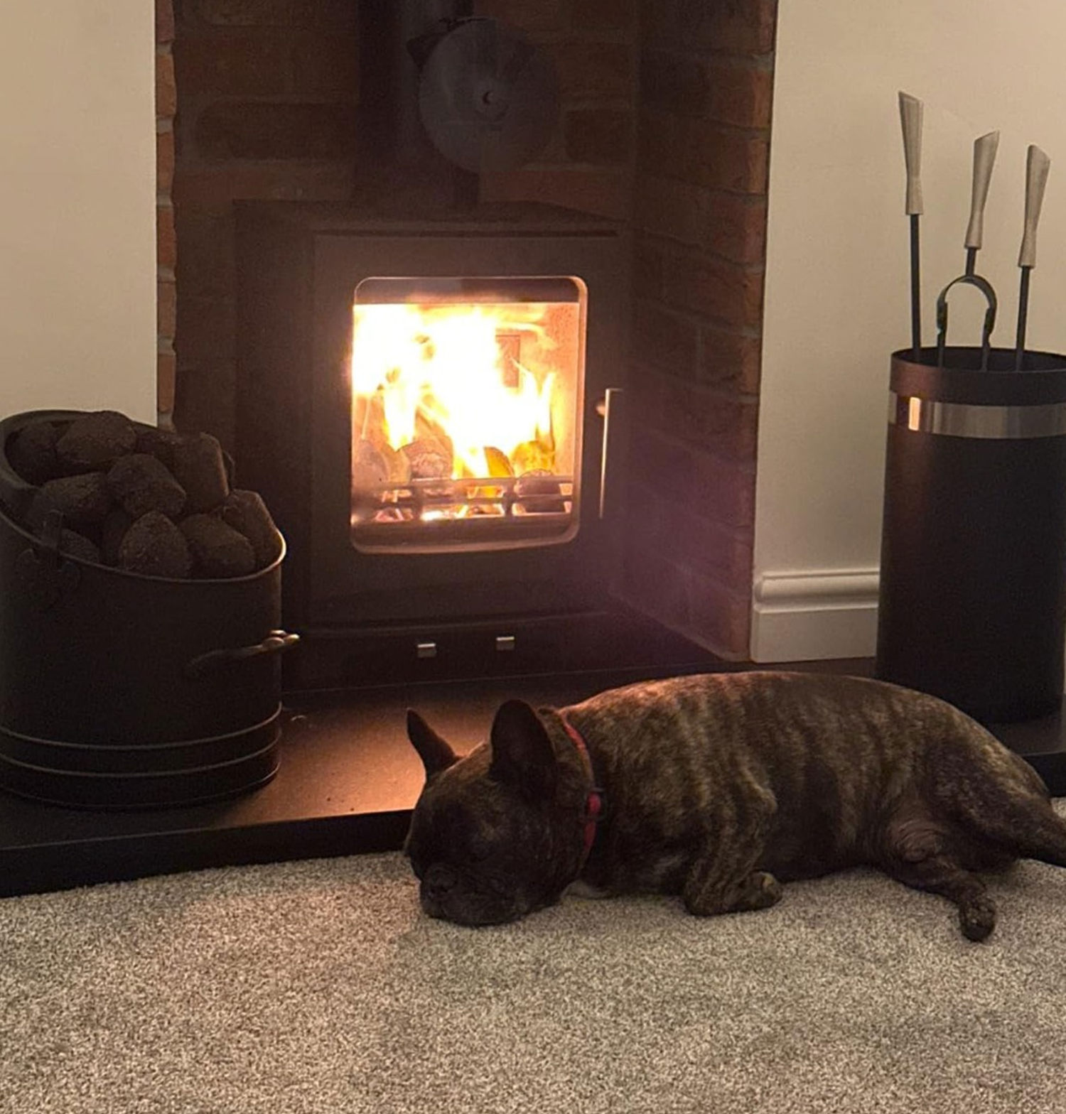 Homefire Coffee Bricks | For Wood Burners, Multi-fuel Stoves and Open Fires