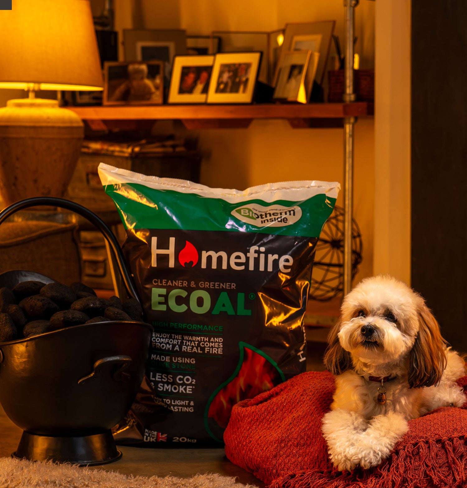 Ecoal Smokeless Coal 25kg & 10kg | Homefire