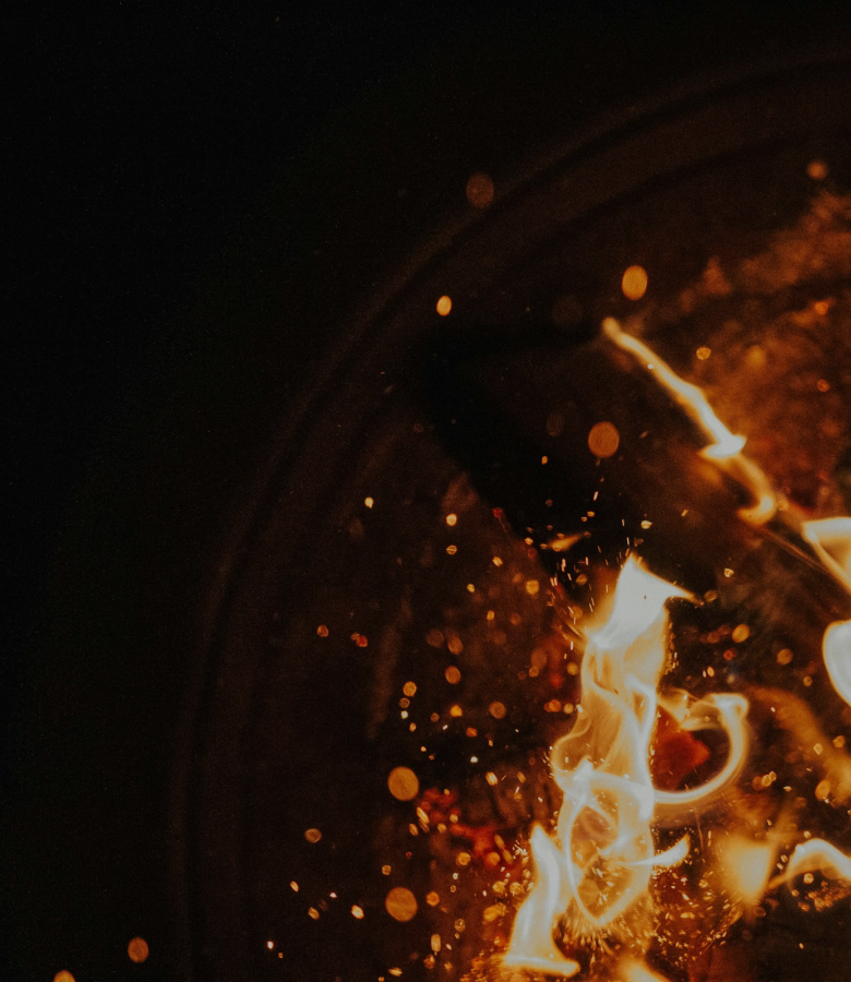 A Step-by-Step Guide on How to Start a Fire with Logs in Your Burner ...